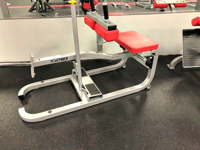 Buy Cybex Plate Loaded Seated Calf Raise Online | Fitness Equipment Empire Buy Cybex Plate Loaded Seated Calf Raise Online | Fitness Equipment Empire