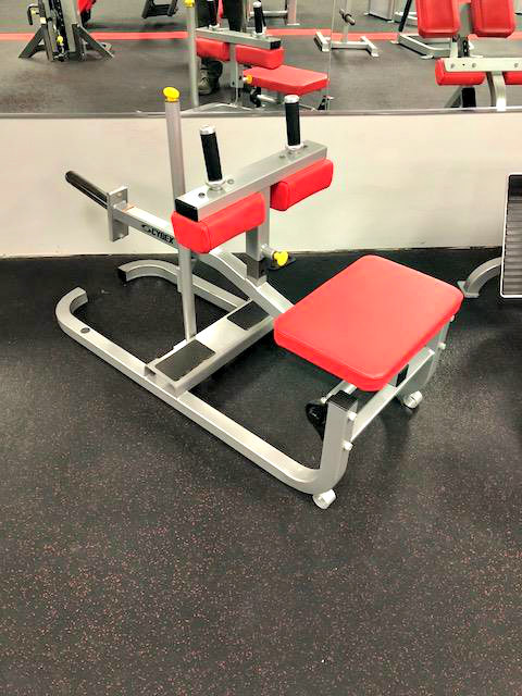 Buy Cybex Plate Loaded Seated Calf Raise Online | Fitness Equipment Empire Buy Cybex Plate Loaded Seated Calf Raise Online | Fitness Equipment Empire