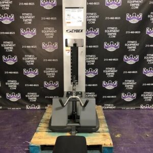 Buy Cybex Platinum Low Cable Row Online | Fitness Equipment Empire