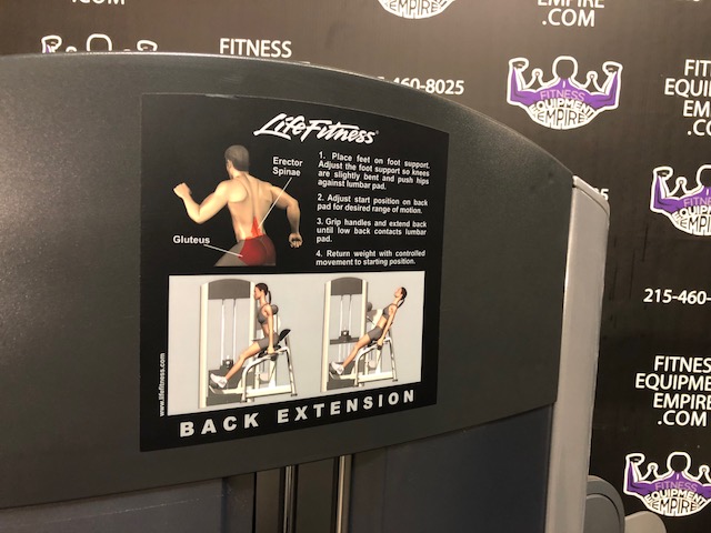 Buy Life Fitness Signature Series Platinum Back Extension Online ...