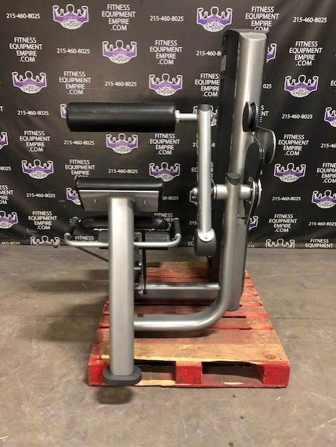 Buy Life Fitness Signature Series Platinum Back Extension Online ...