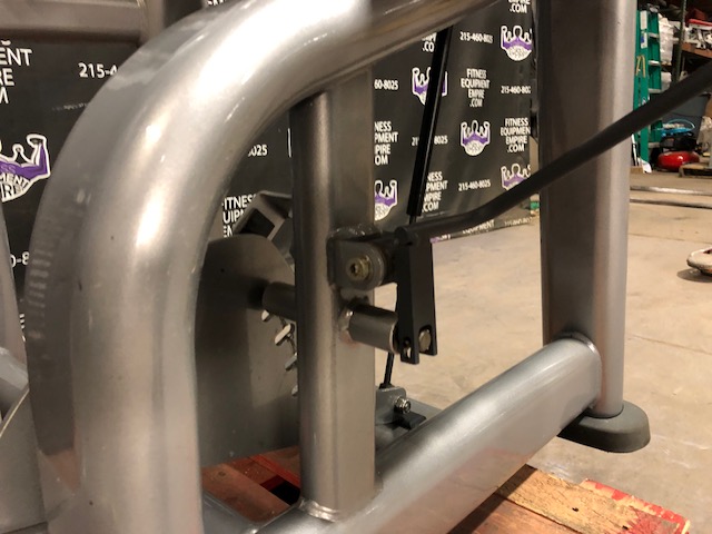 Buy Life Fitness Signature Series Platinum Back Extension Online ...