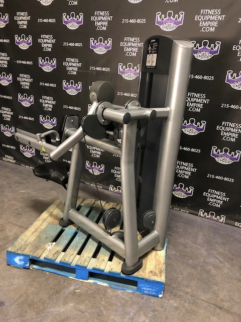 Buy Life Fitness Signature Series Platinum Lateral Raise Online ...