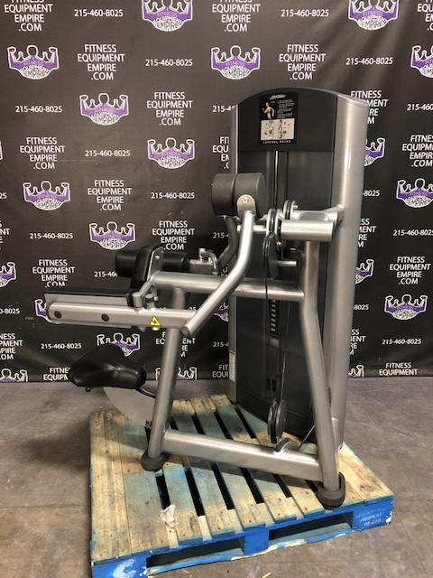 Buy Life Fitness Signature Series Platinum Lateral Raise Online ...