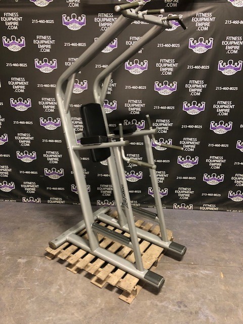 Buy Life Fitness Signature Series Platinum VKR Dip Pull-up Leg Raise ...