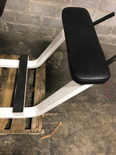 Buy Icarian Donkey Calf Raise Machine Online | Fitness Equipment Empire