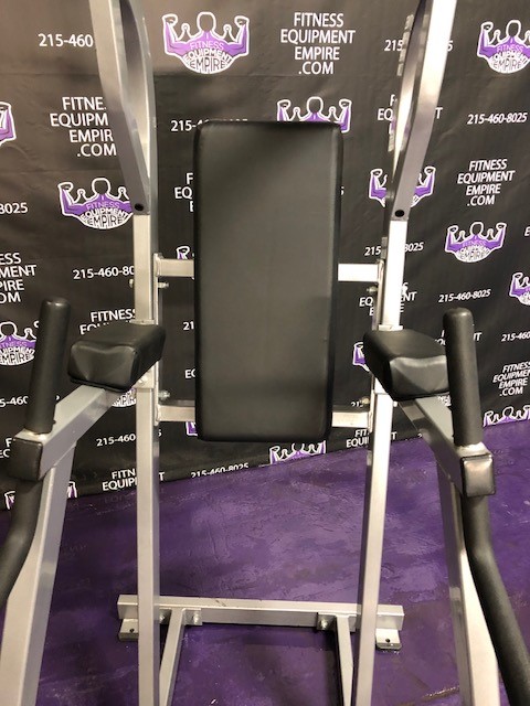 Buy Hammer Strength Platinum Chin Dip Leg Raise Online | Fitness ...