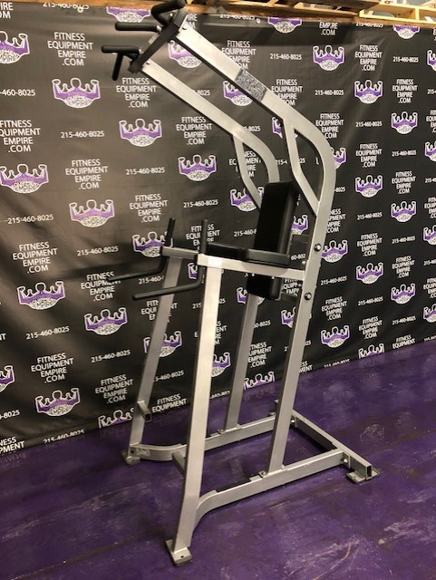 Buy Hammer Strength Platinum Chin Dip Leg Raise Online | Fitness ...