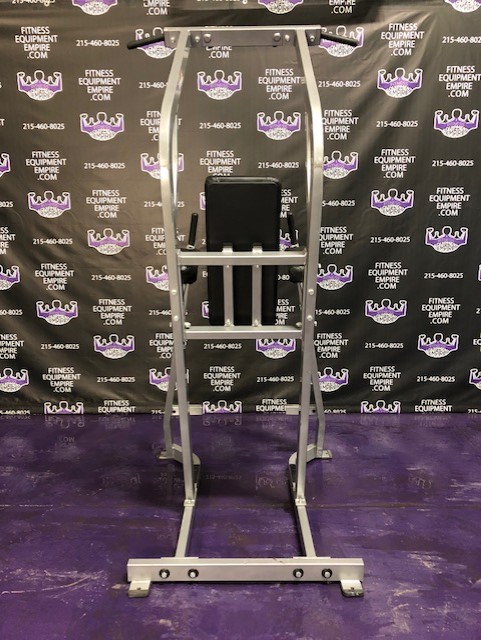 Buy Hammer Strength Platinum Chin Dip Leg Raise Online | Fitness ...