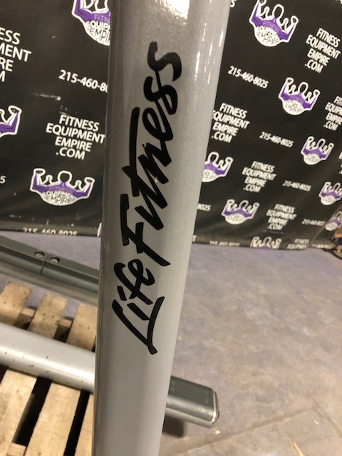 Buy Life Fitness Signature Series Platinum VKR Dip Pull-up Leg Raise ...