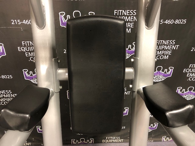 Buy Life Fitness Signature Series Platinum VKR Dip Pull-up Leg Raise ...