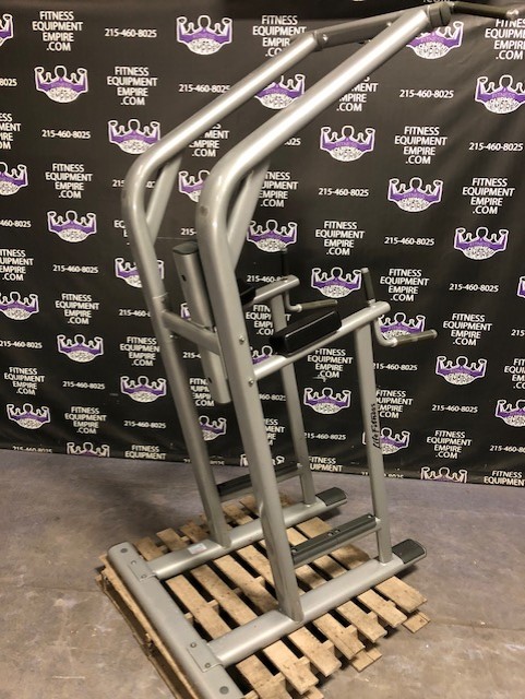 Buy Life Fitness Signature Series Platinum VKR Dip Pull-up Leg Raise ...