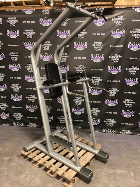 Buy Life Fitness Signature Series Platinum VKR Dip Pull-up Leg Raise ...