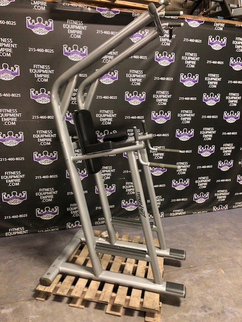 Buy Life Fitness Signature Series Platinum VKR Dip Pull-up Leg Raise ...
