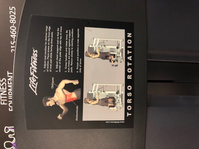 Buy Life Fitness Signature Series Platinum Torso Rotation Online ...