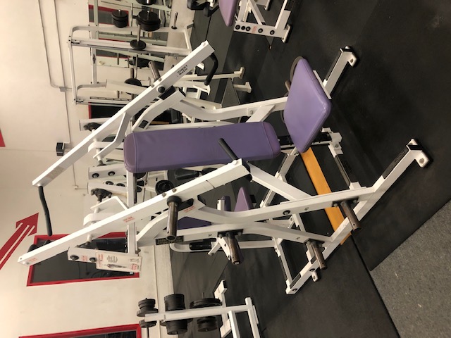 Buy Hammer Strength ISO Lateral Chest & Back Combo Online | Fitness ...