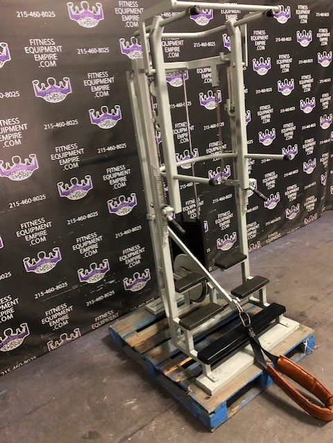 Buy Nautilus Original OME Belt Squat Weighted & Free Weight Dip & Pull ...