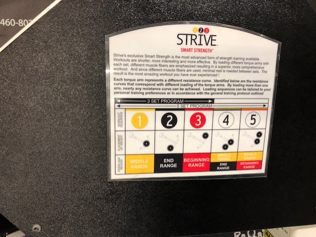 Buy Strive Smart Strength Plate Loaded Bicep Curl Online | Fitness ...