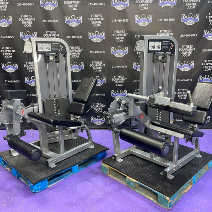 Buy Life Fitness Pro 2 SE Leg Extension & Leg Curl Matching Pair w/300 ...