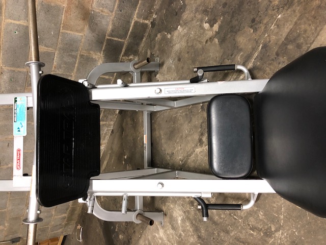 Buy Flex Fitness 45 Degree Plate Loaded Linear Leg Press Online ...