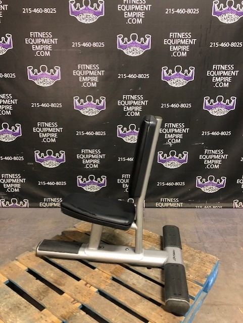 Buy Life Fitness Signature Series Upright Utility Chair Online ...