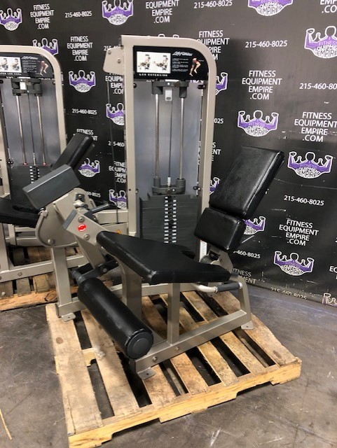 Buy Life Fitness Pro 2 SE Leg Extension & Leg Curl Matching Pair w/300 ...