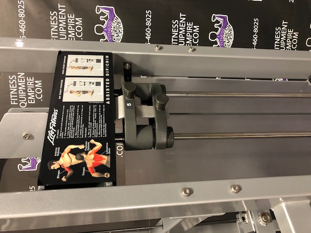 Buy Life Fitness Pro 2 Assisted & Free Weight Dip & Pull-up Machine ...