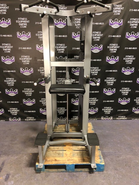 Buy Life Fitness Pro 2 Assisted & Free Weight Dip & Pull-up Machine ...