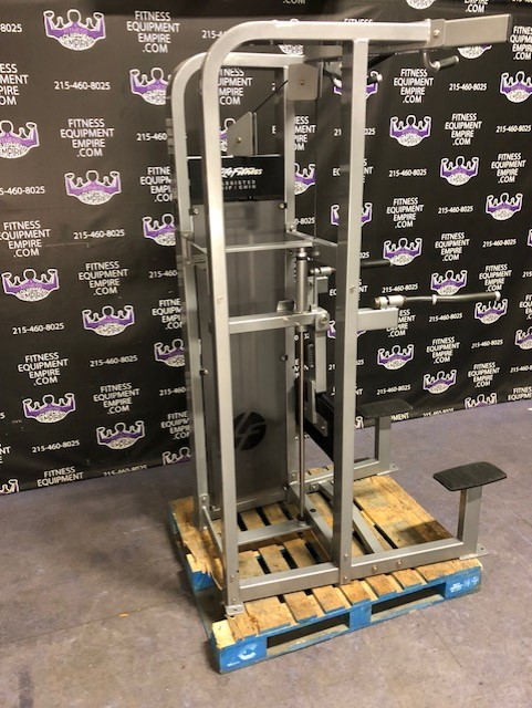 Buy Life Fitness Pro 2 Assisted & Free Weight Dip & Pull-up Machine ...