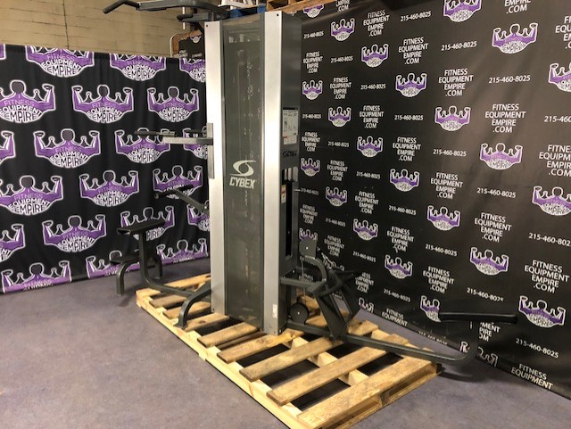 Buy Cybex Low Row and Standing Assisted Dip and Pull-Up Online ...