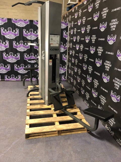 Buy Cybex Low Row and Standing Assisted Dip and Pull-Up Online ...