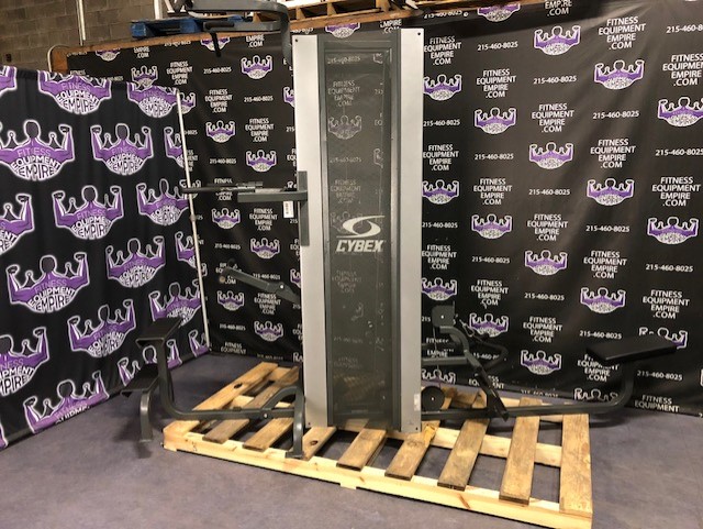 Buy Cybex Low Row and Standing Assisted Dip and Pull-Up Online ...