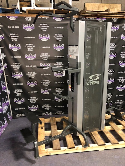 Buy Cybex Low Row and Standing Assisted Dip and Pull-Up Online ...