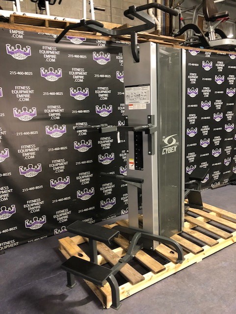 Buy Cybex Low Row and Standing Assisted Dip and Pull-Up Online ...