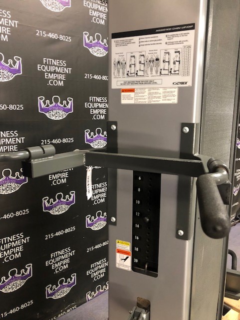 Buy Cybex Low Row and Standing Assisted Dip and Pull-Up Online ...