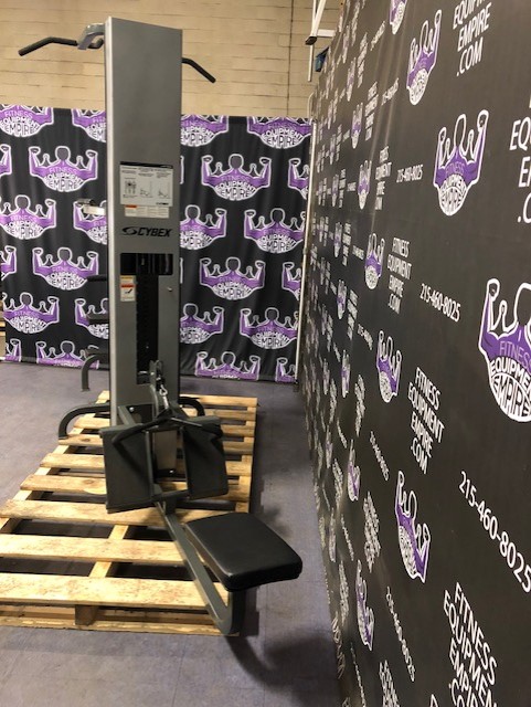 Buy Cybex Low Row and Standing Assisted Dip and Pull-Up Online ...