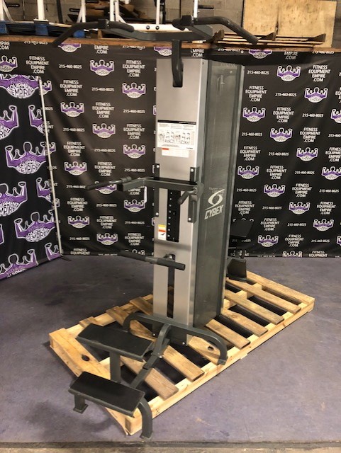 Buy Cybex Low Row and Standing Assisted Dip and Pull-Up Online ...
