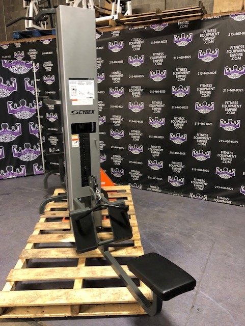 Buy Cybex Low Row and Standing Assisted Dip and Pull-Up Online ...