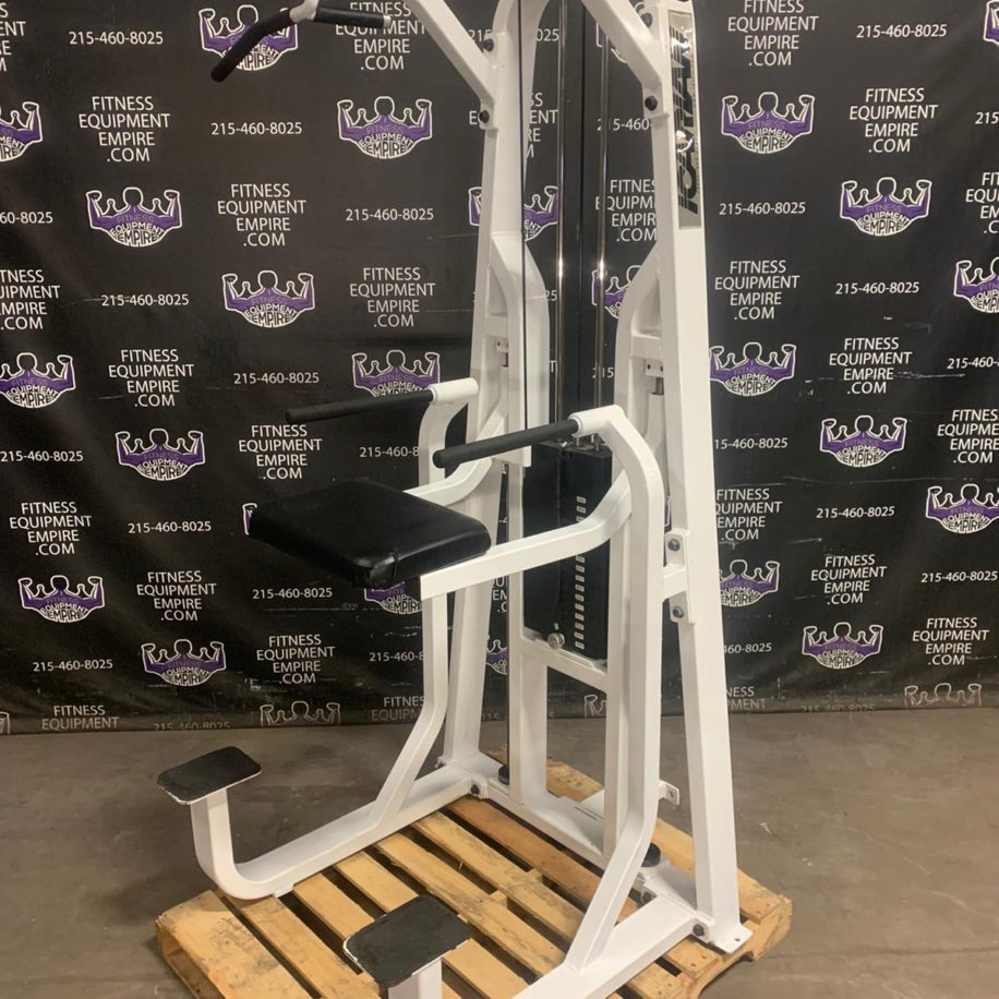 Buy Precor Icarian Assisted Dip & Pull-up Machine Online | Fitness ...