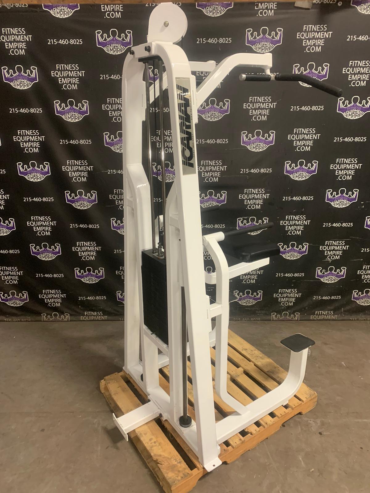 Buy Precor Icarian Assisted Dip & Pull-up Machine Online | Fitness ...