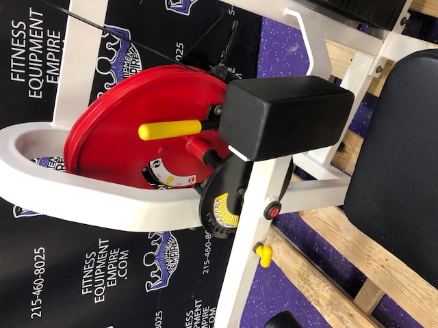 Buy Strive Prone Lying Leg Curl w/Smart Strength Technology - Newest ...