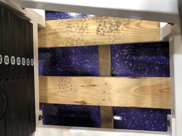 Buy Strive Prone Lying Leg Curl w/Smart Strength Technology - Newest ...