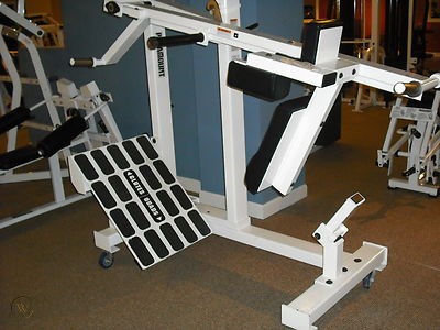 Buy Paramount Total Leg Pendulum Swing Squat - RARE Online | Fitness ...