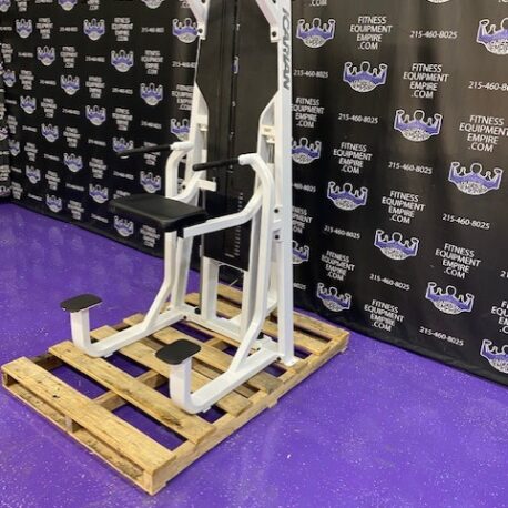 Buy Precor Icarian Assisted Dip & Pull-up Machine Online | Fitness ...