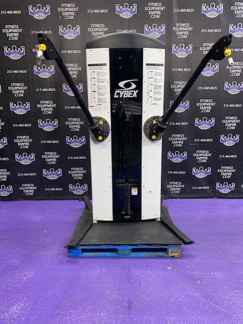 Buy Cybex FT 360 Functional Trainer Dual Pulley Cable Crossover - 300 ...