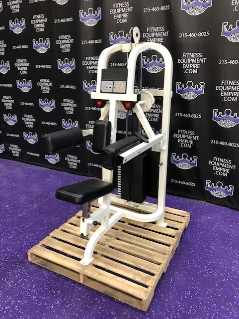 Buy Life Fitness Pro Lateral Raise Online | Fitness Equipment Empire