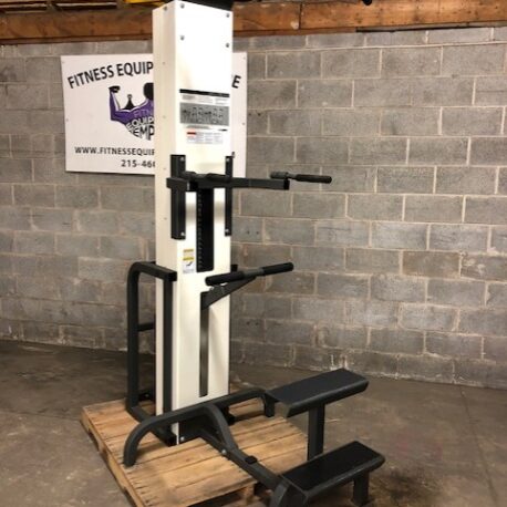 Buy Cybex Standing Assisted Dip & Pull-up Machine Online | Fitness ...