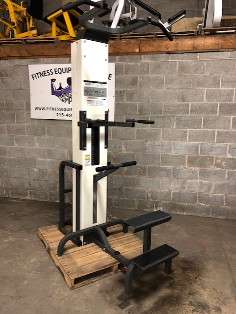 Buy Cybex Standing Assisted Dip & Pull-up Machine Online | Fitness ...