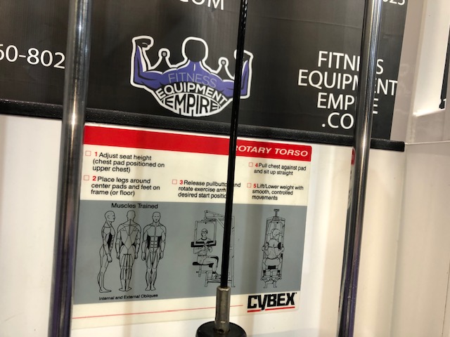 Buy Cybex Classic Rotary Torso - Total Core Builder Online | Fitness ...