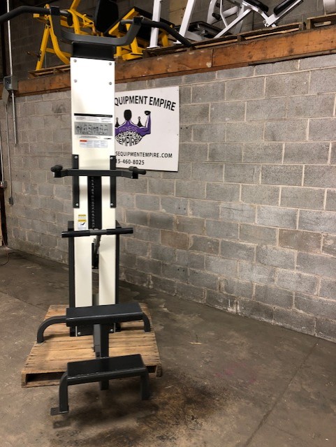 Buy Cybex Standing Assisted Dip & Pull-up Machine Online | Fitness ...